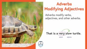 Adverbs Modifying Adjectives - GrammarFlip