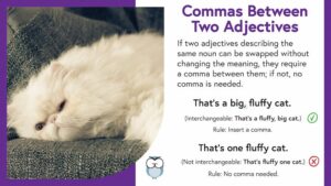 Commas Between Two Adjectives - GrammarFlip